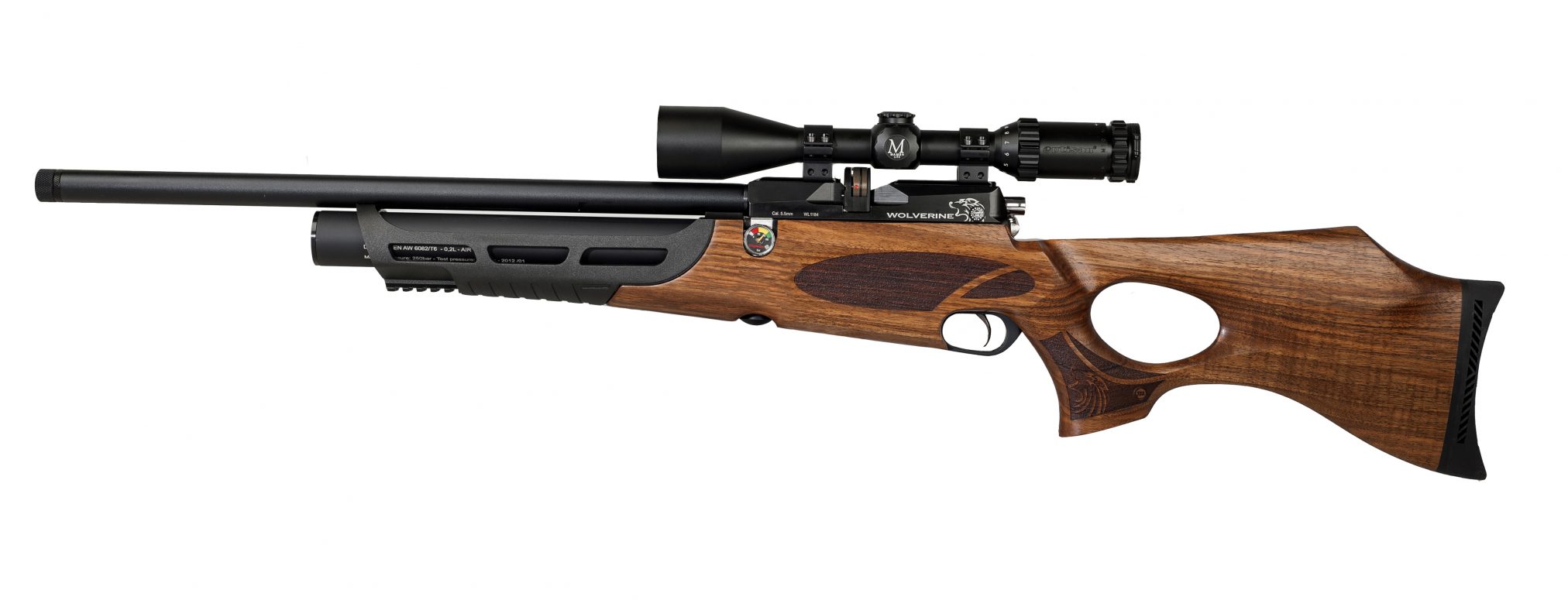 DAYSTATE WOLVERINE C TYPE .177 / .22 HIGH POWER AIR RIFLE - Emma Custom ...