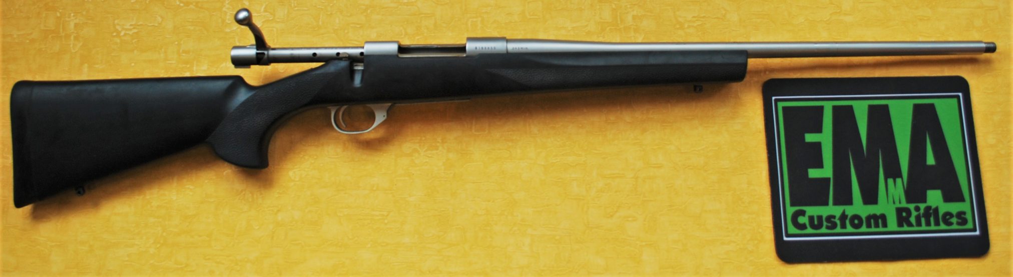 HOWA .243 STAINLESS STEEL MODEL 1500 BOLT ACTION RIFLE. - Emma Custom ...