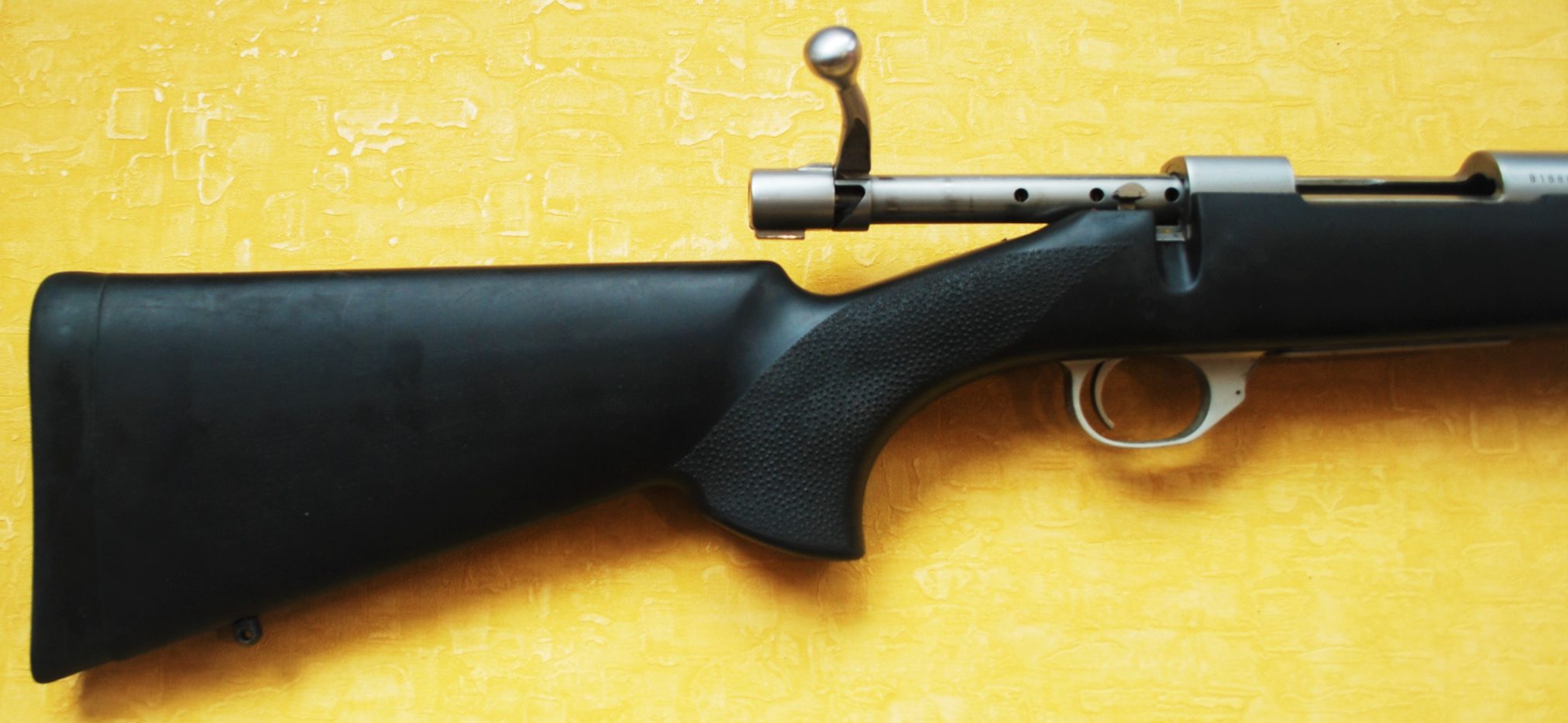 HOWA .243 STAINLESS STEEL MODEL 1500 BOLT ACTION RIFLE. - Emma Custom ...