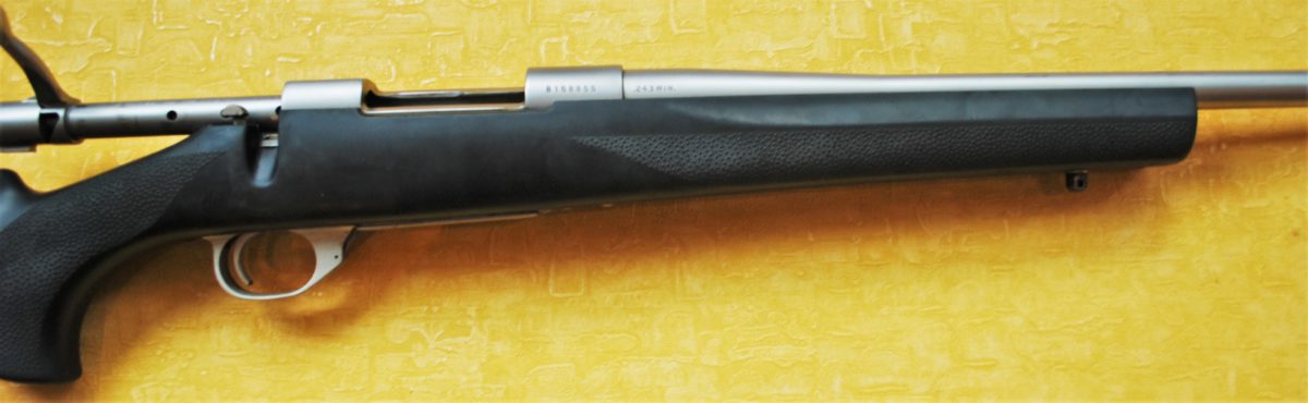 HOWA .243 STAINLESS STEEL MODEL 1500 BOLT ACTION RIFLE. - Emma Custom ...