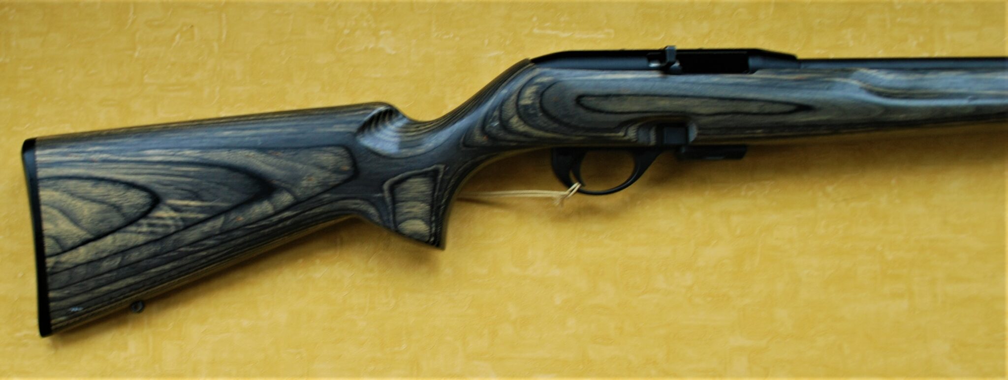 REMINGTON .22 WMR SEMI AUTOMATIC RIFLE. - Emma Custom Rifles