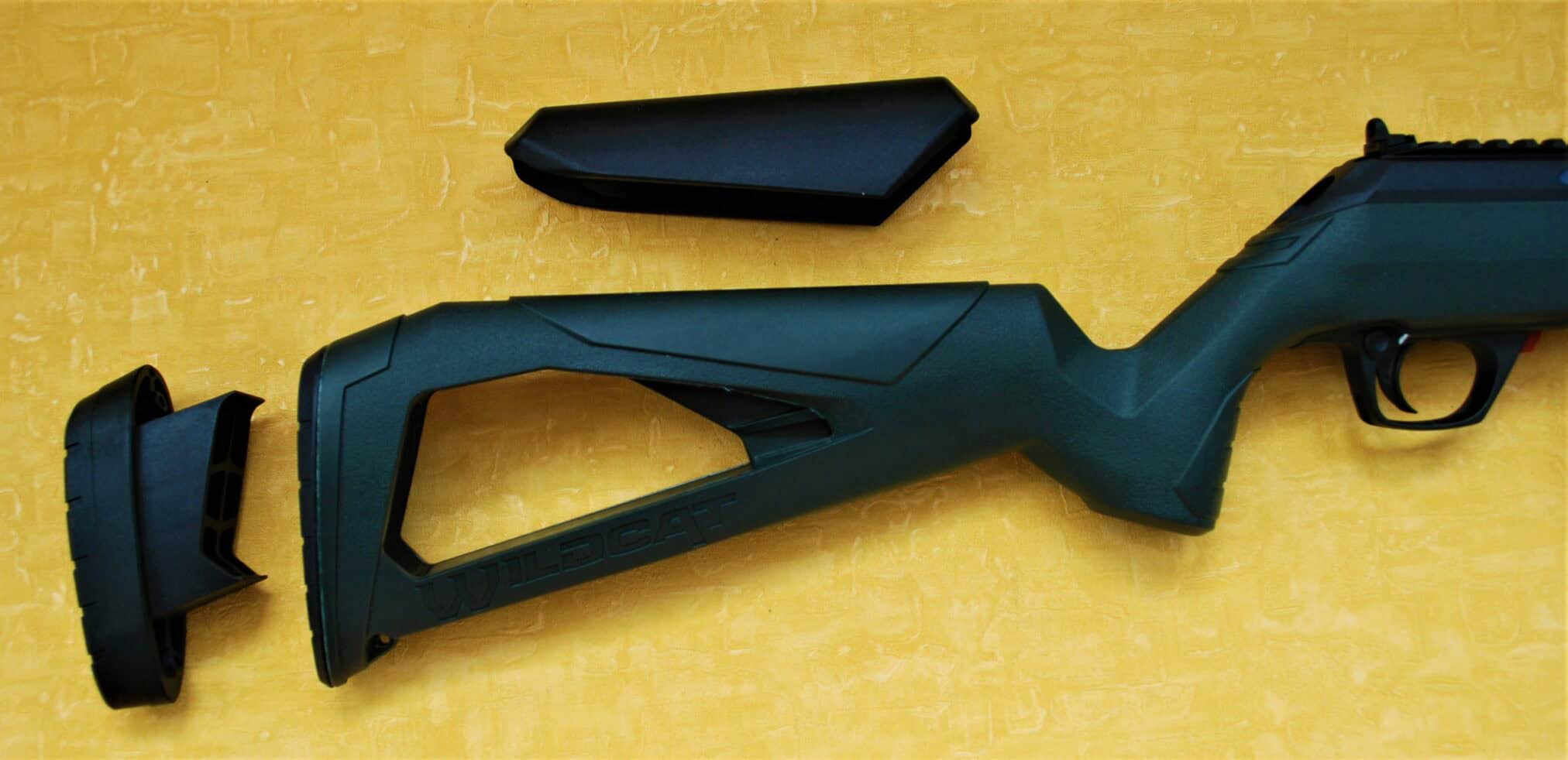 WINCHESTER IWA 2022 TRADE FARE SPECIAL .22 RIM FIRE WILDCAT STEALTH ...