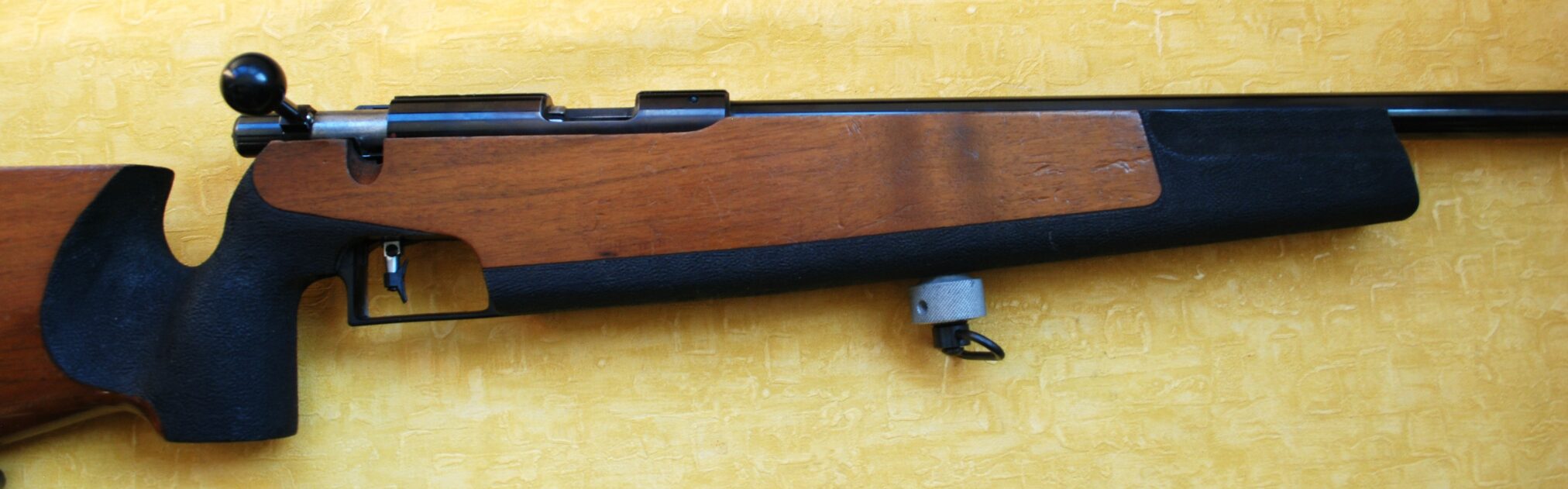 FEINWERKBAU .22 RIM FIRE BOLT ACTION BENCHREST TARGET RIFLE. - Emma ...
