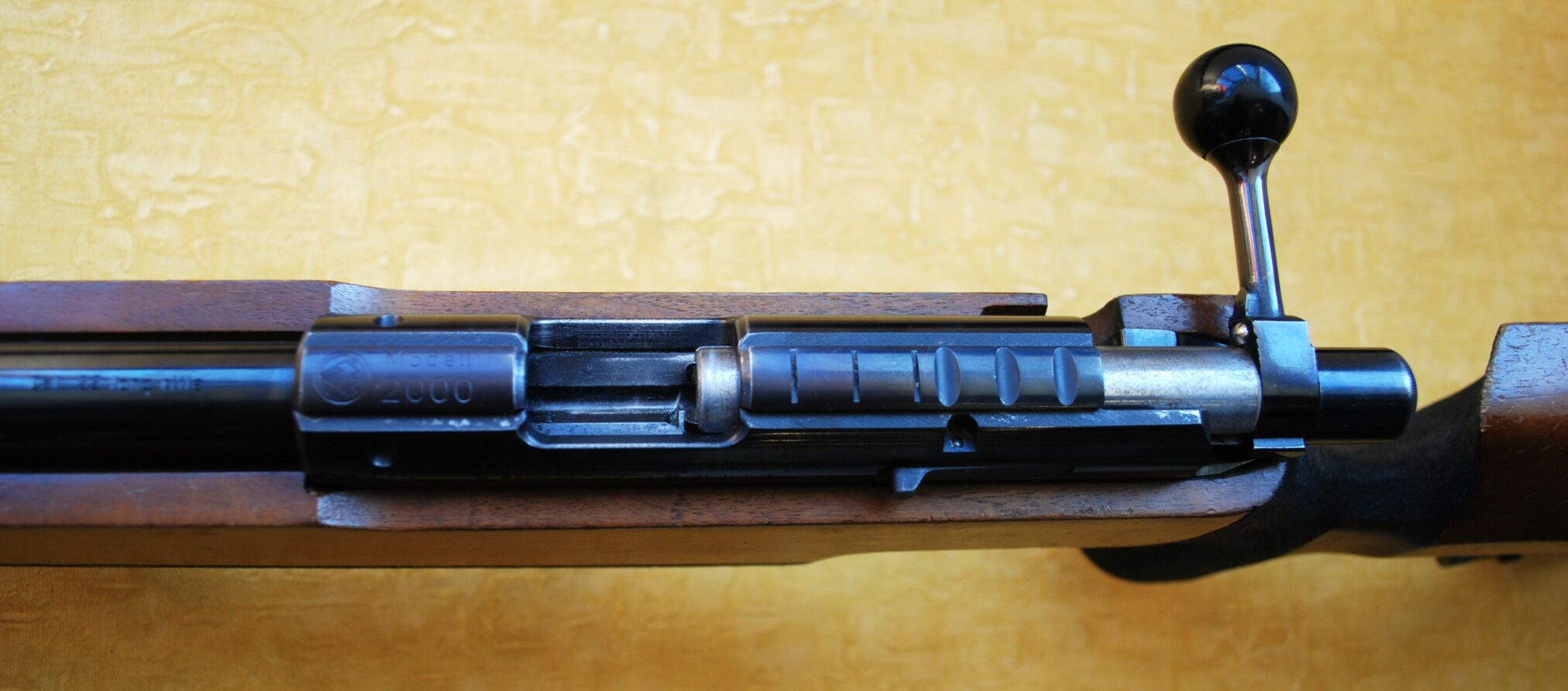 FEINWERKBAU .22 RIM FIRE BOLT ACTION BENCHREST TARGET RIFLE. - Emma ...