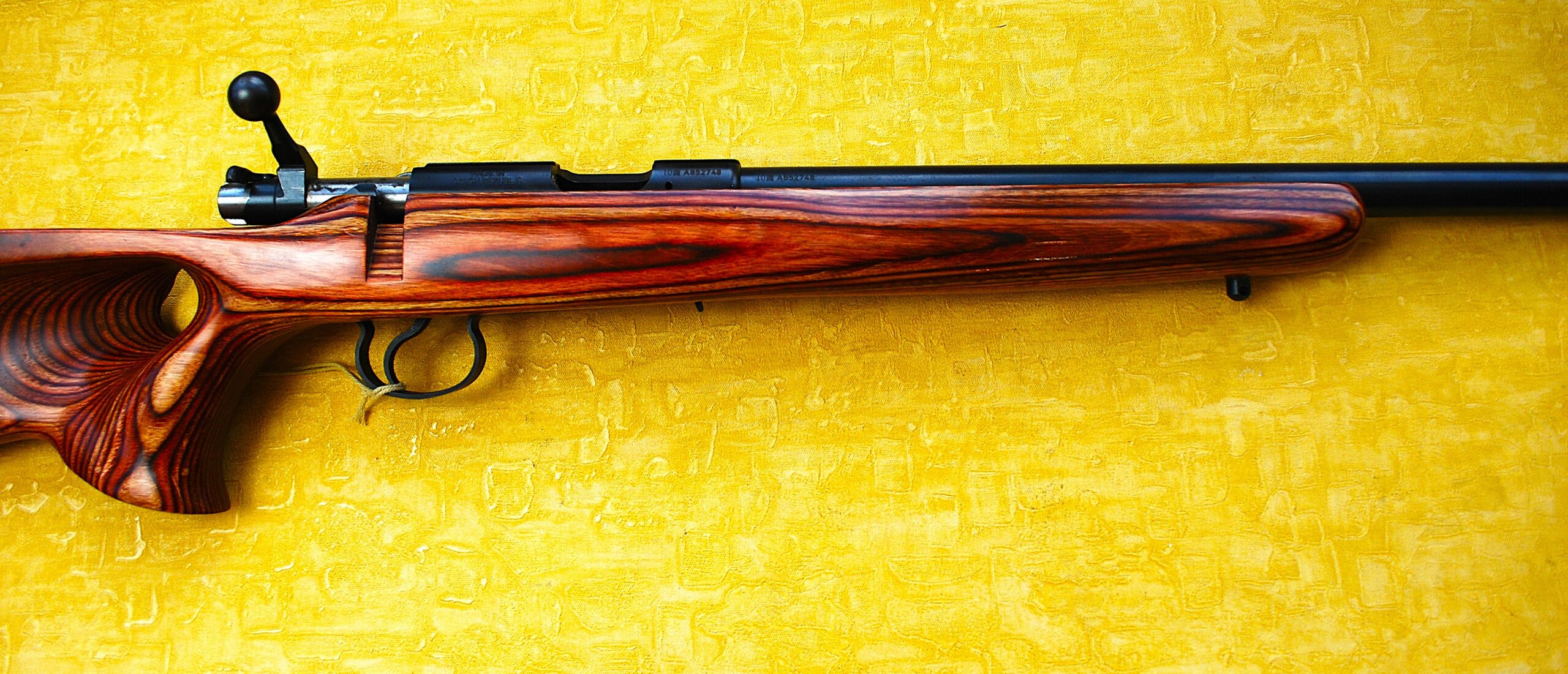 CZ .17HMR THUMB HOLE LAMINATE VARMINT / TARGET RIFLE - Emma Custom Rifles